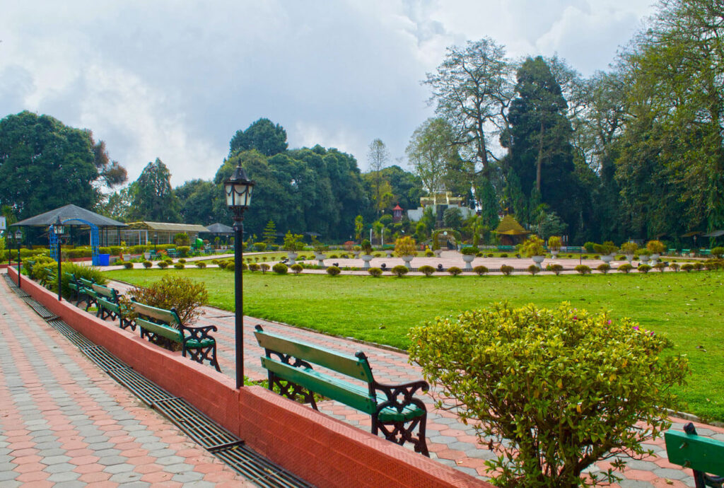 Experience the Magic of Shrubbery Nightingale Park